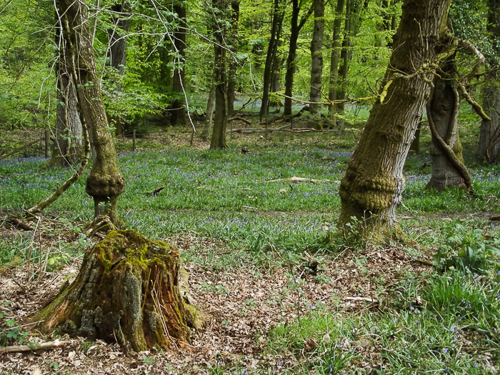 How Soon Nature Retakes Expropriated Land! – Stuart Aken