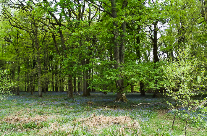 How Soon Nature Retakes Expropriated Land! – Stuart Aken