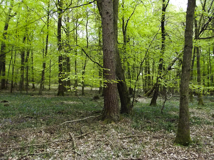 How Soon Nature Retakes Expropriated Land! – Stuart Aken