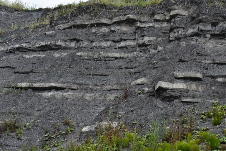 Lyme Regis No 4: The Town and Beach – Stuart Aken
