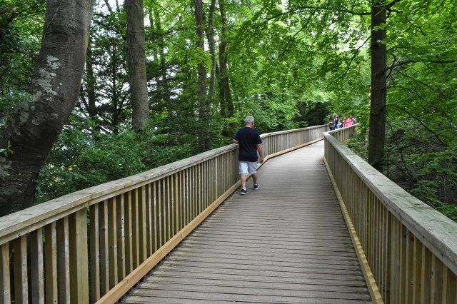 Walking at Symonds Yat. – Stuart Aken
