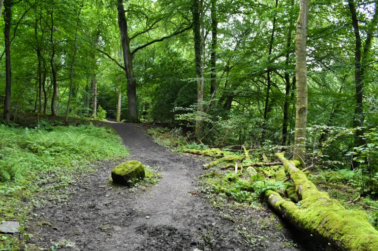 A Short Walk at Round Howe. – Stuart Aken