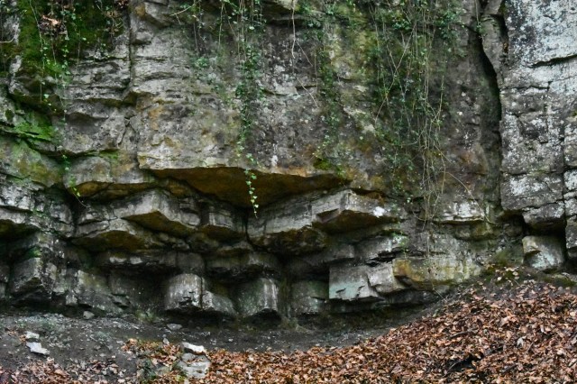 A Short Walk at Round Howe. – Stuart Aken