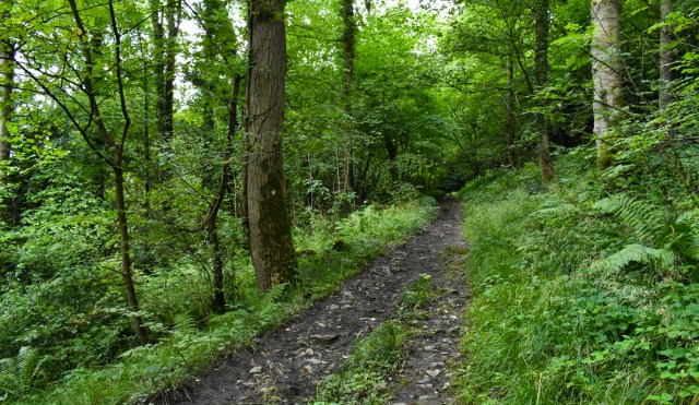 A Short Walk at Round Howe. – Stuart Aken