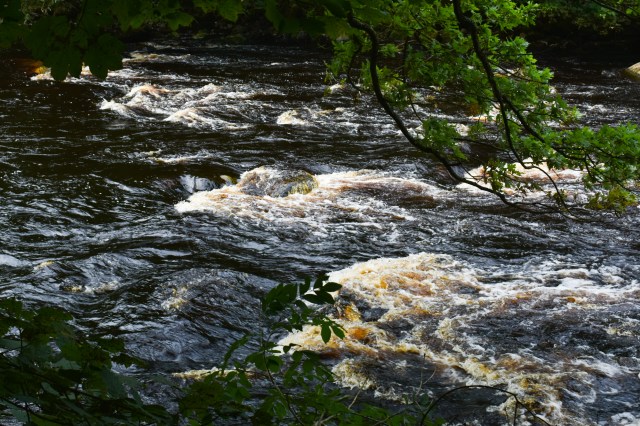 A Short Walk at Round Howe. – Stuart Aken