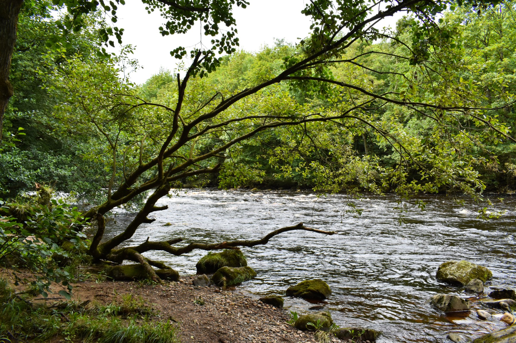 A Short Walk at Round Howe. – Stuart Aken