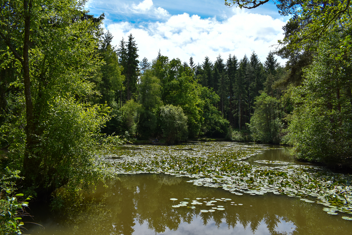 Today’s Pictures: 2 June 20 – Stuart Aken