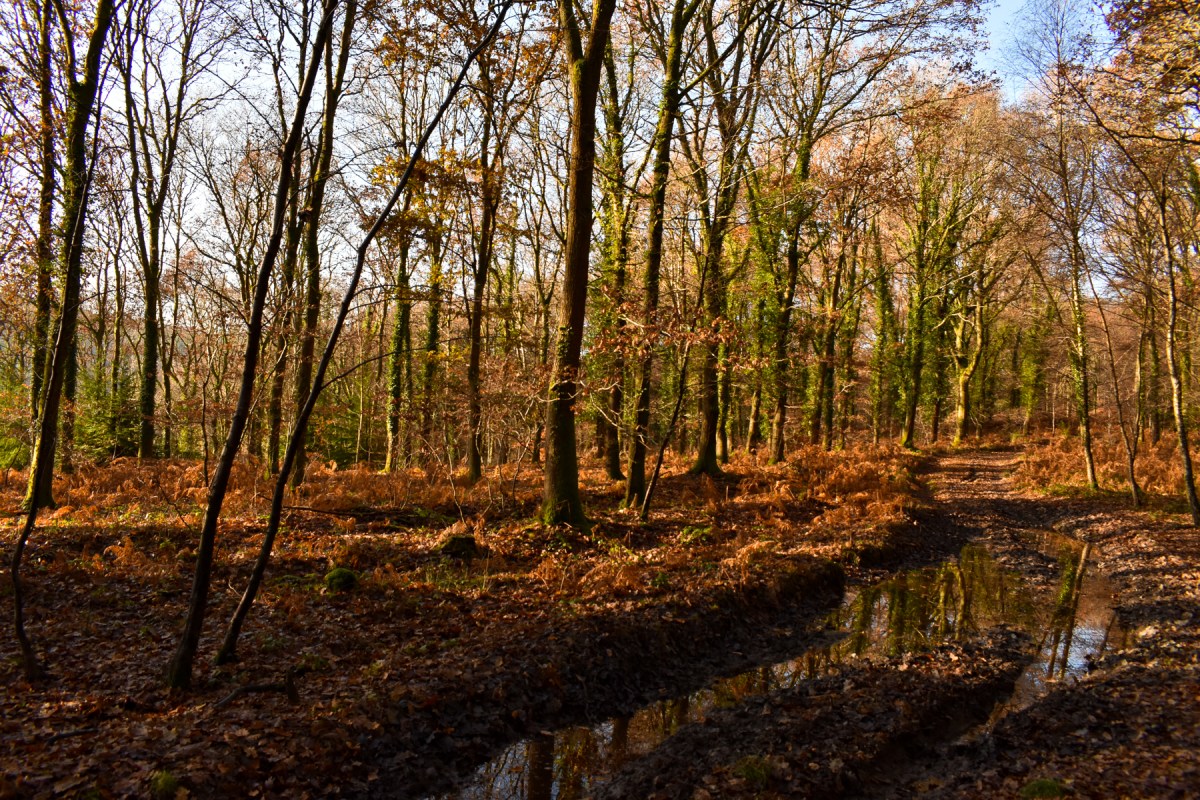 Today’s Pictures: 16 Dec 20 – Stuart Aken