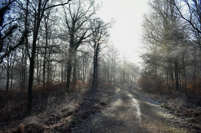 Today’s Pictures: 26 Jan 21 – Stuart Aken