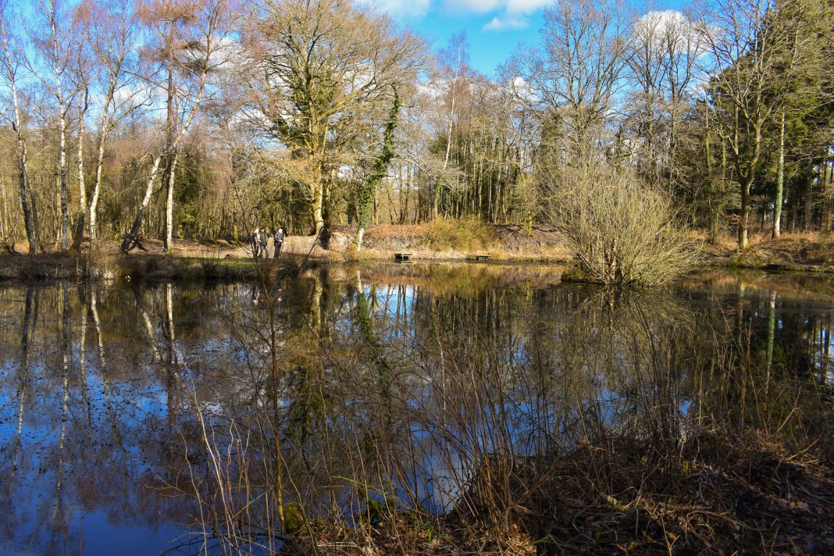 Today’s Pictures: 04 Mar 21 – Stuart Aken