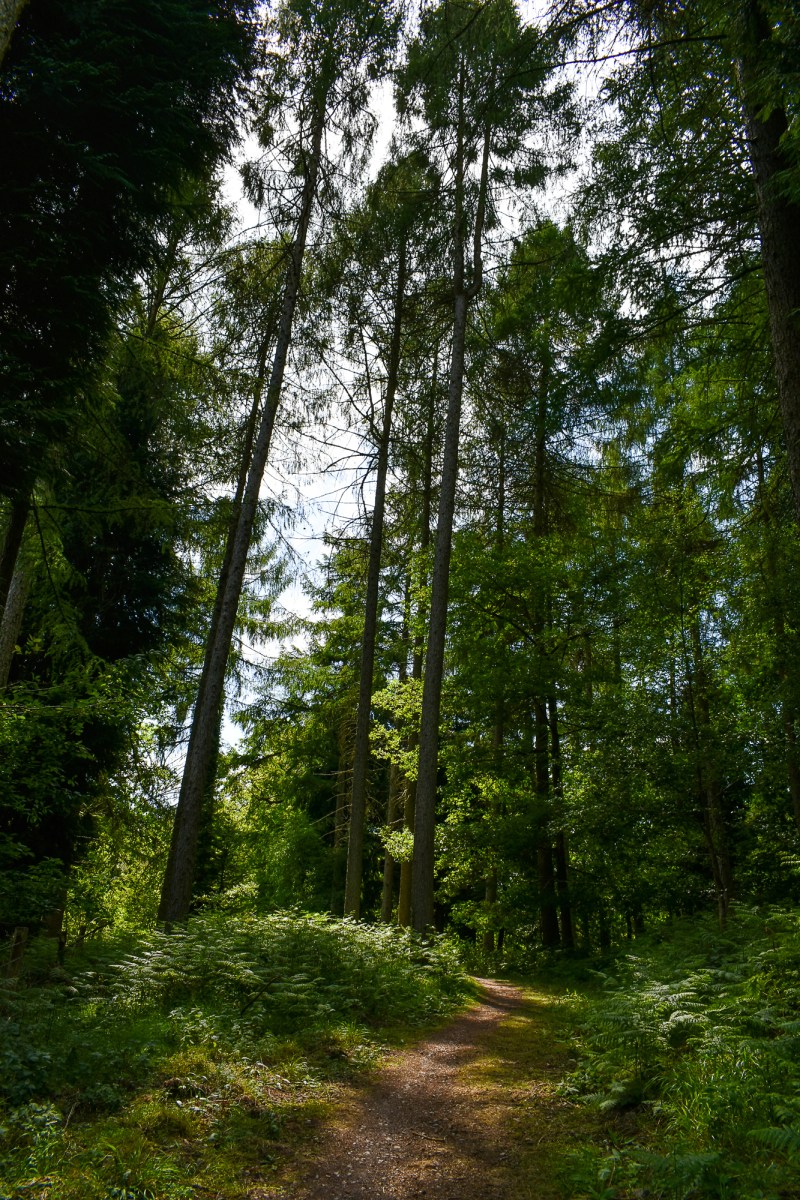 Today’s #Picture to Spur Your Creativity: 14/July/21 – Stuart Aken