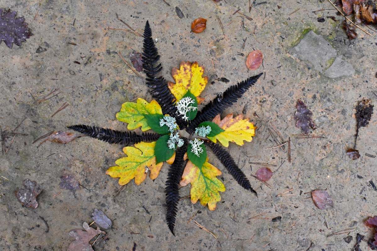 Encountered Art – Stuart Aken