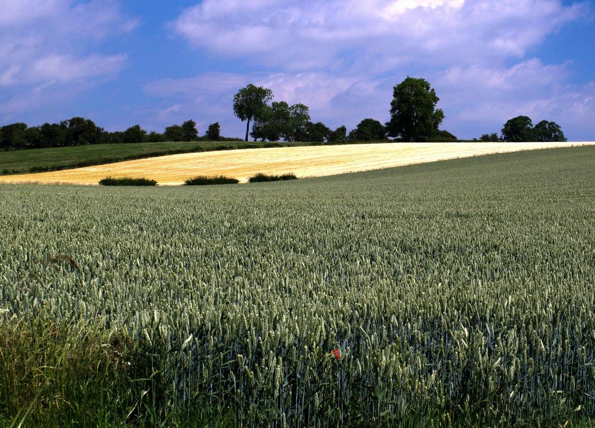 #ScenicSaturday 10th June 2023 – Stuart Aken