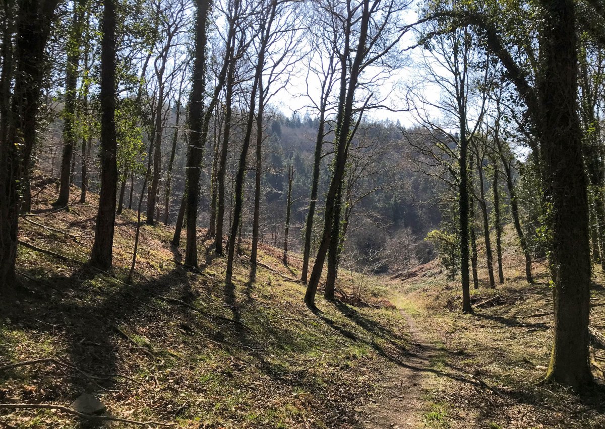 #ScenicSaturday 2nd March 2024: – Stuart Aken