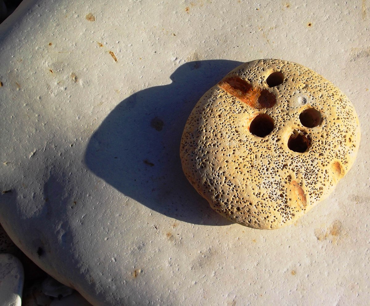 Oddities Observed On Outings #2: Who Put Holes in that Rock? – Stuart Aken