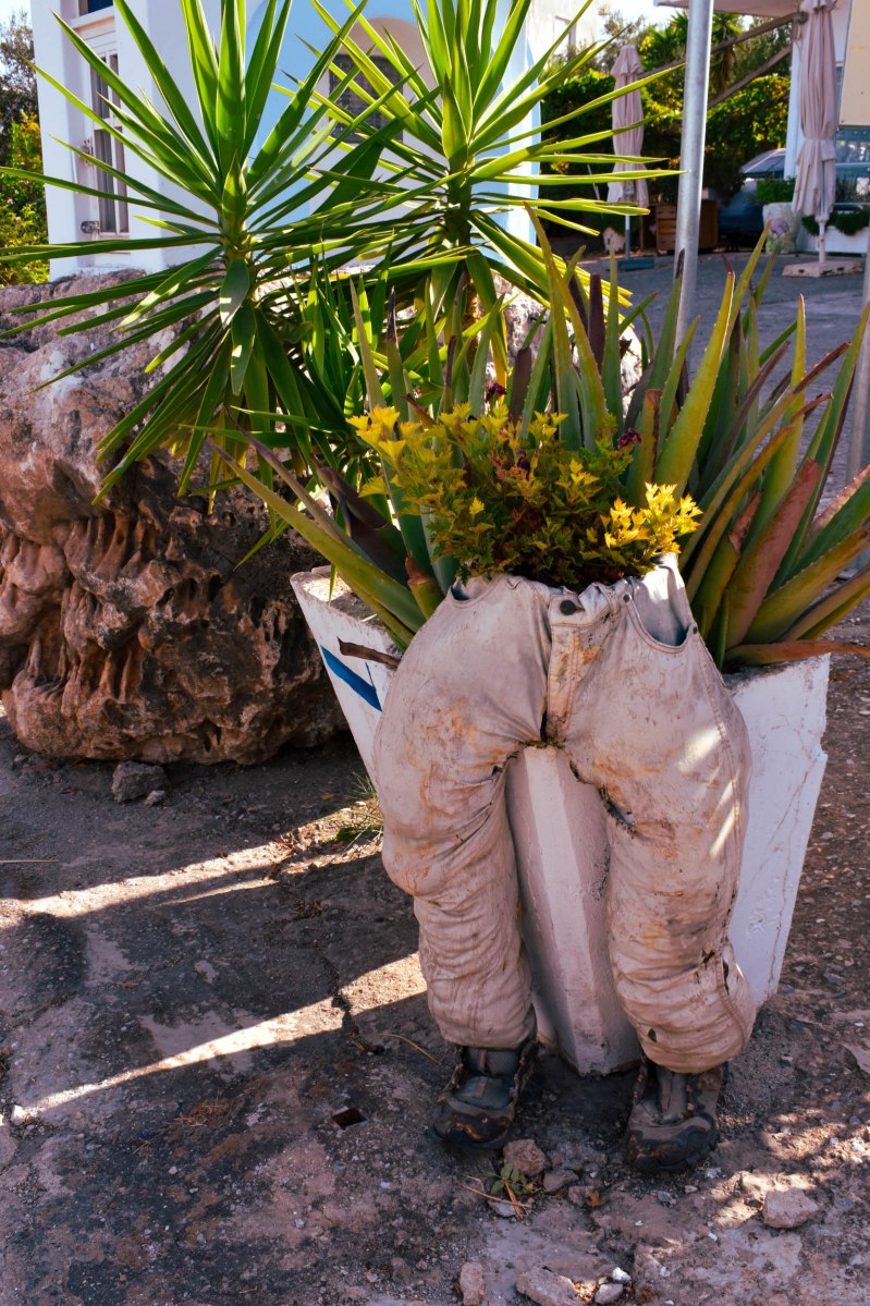 Oddities Observed On Outings #8 – Stuart Aken