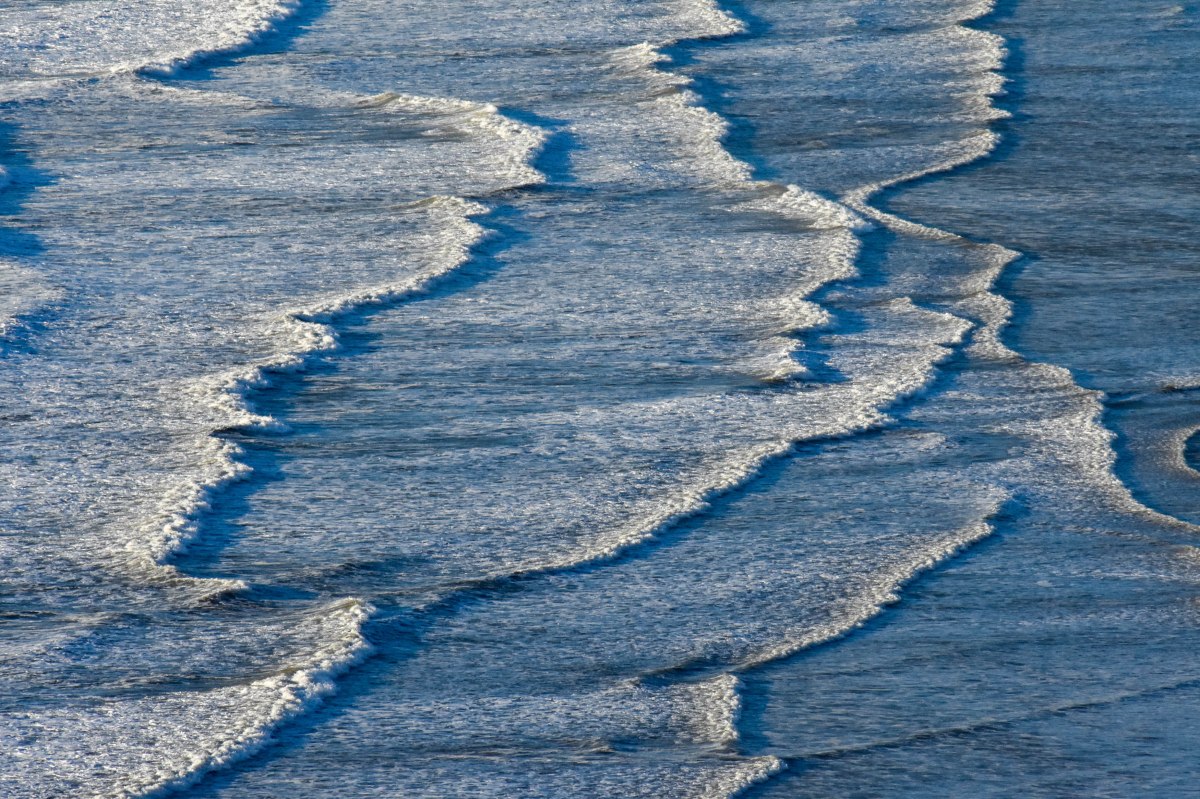 Oddities Observed On Outings #11 – Stuart Aken