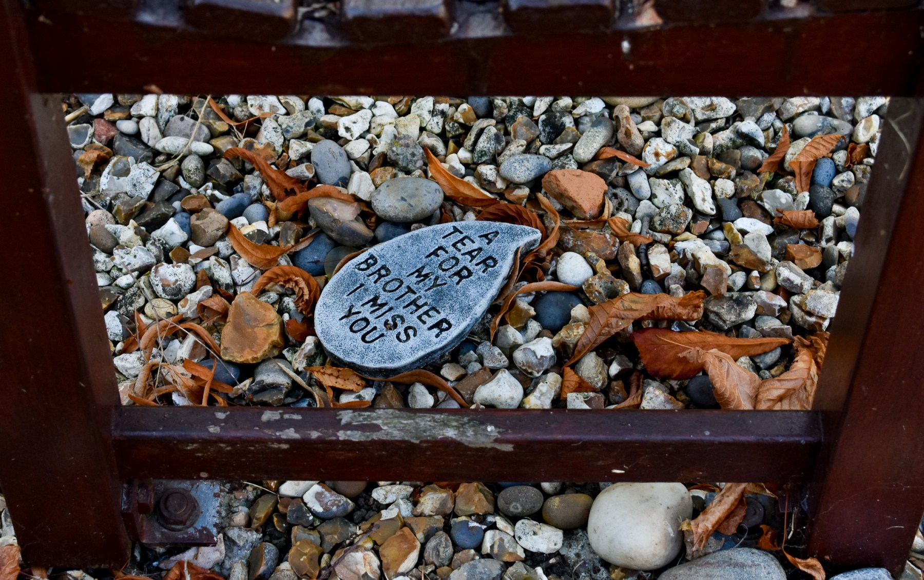 Oddities Observed On Outings #18 – Stuart Aken