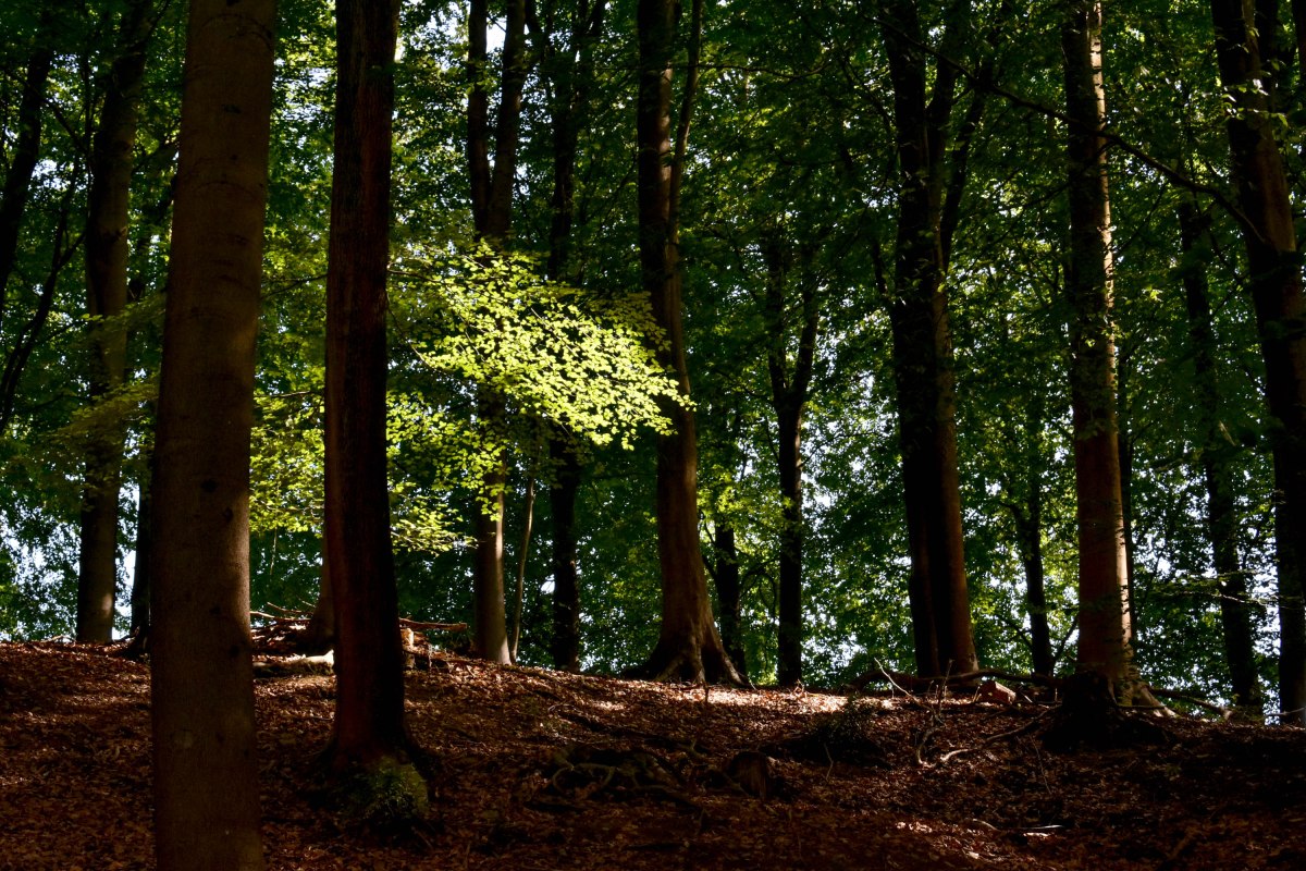 #ScenicSaturday July 27th 2024: – Stuart Aken