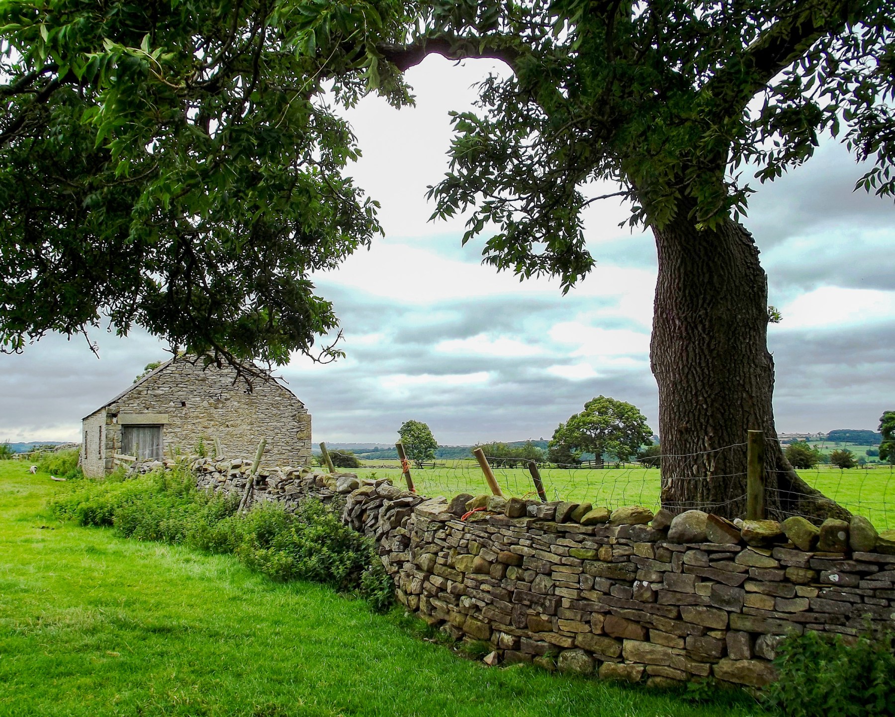 #ScenicSaturday August 17th 2024: – Stuart Aken